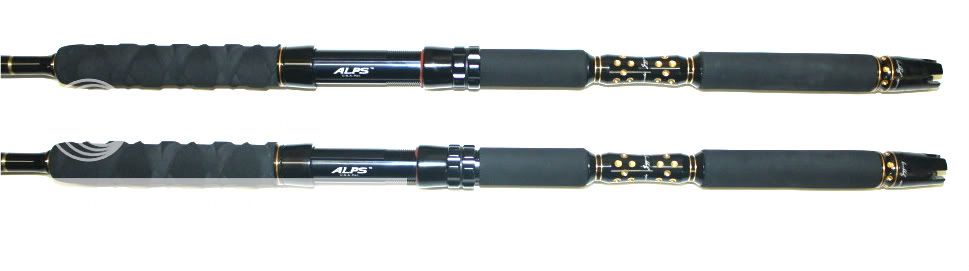 Perfect Rod for a Penn Torque.. | BASS BARN