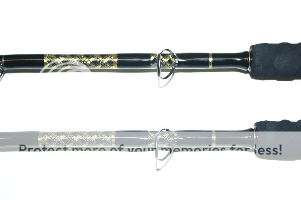 Perfect Rod for a Penn Torque.. | BASS BARN