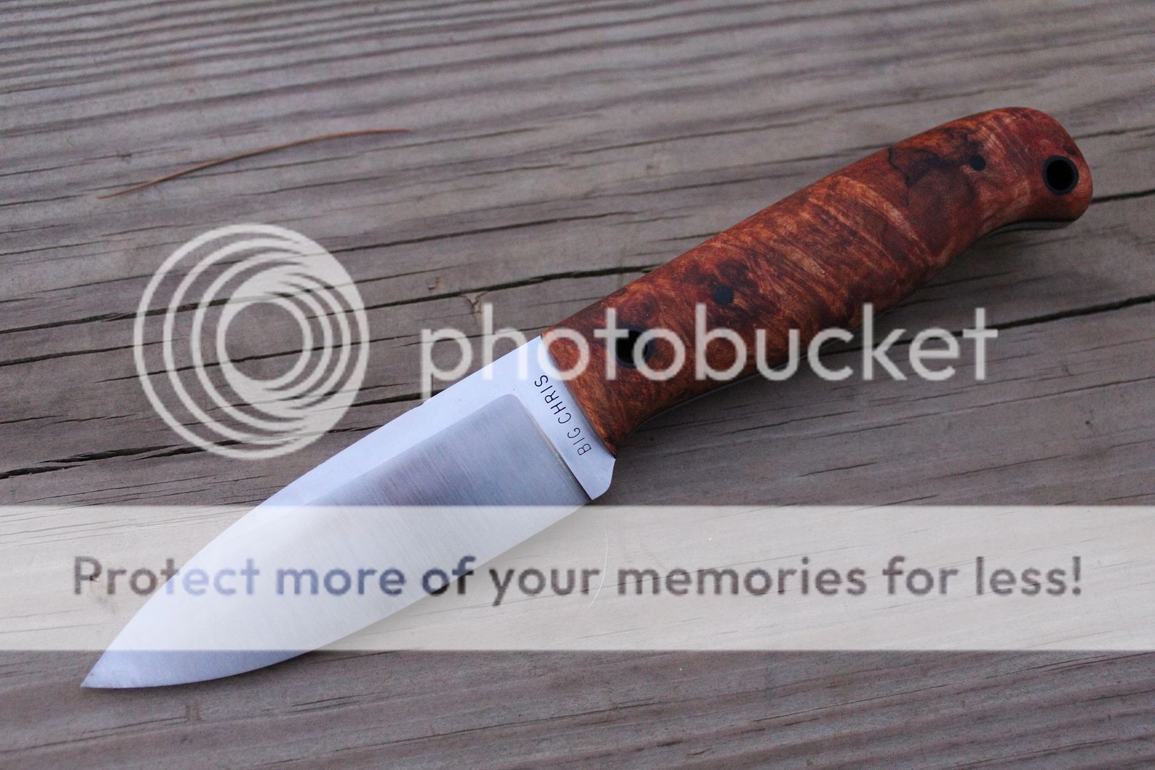 Beautiful CPM 4V Bushcrafter | BladeForums.com