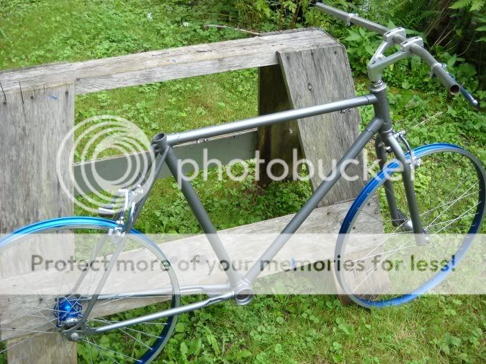 Ross "Diamond Cruiser" | Rat Rod Bikes Bicycle Forum