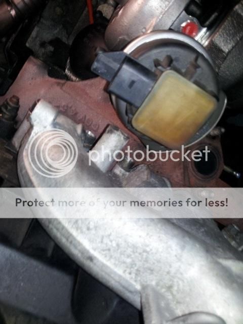 BV43A install in my 2005 B5.5 BHW | TDIClub Forums